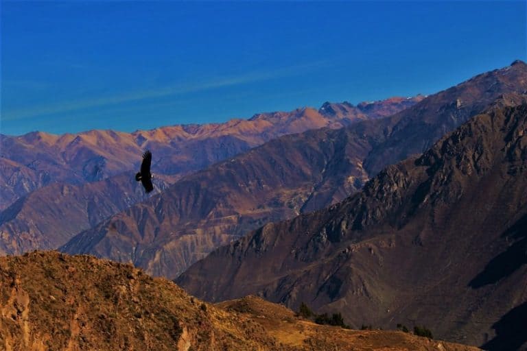 Peru além de Machu Picchu: conheça o exuberante Vale do Colca