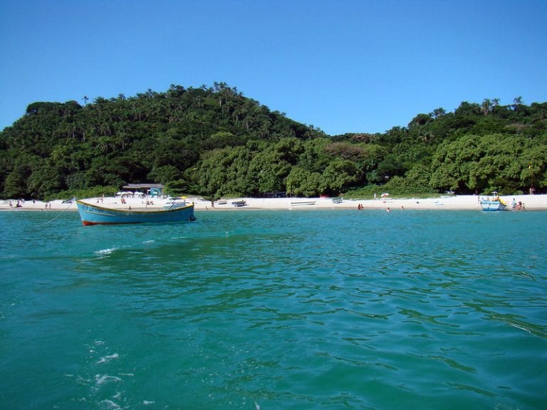 Ilha do Campeche: como visitar a ilha encantadora de Florianópolis