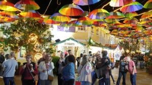 Penedo - descubra os encantos do pedaço finlandês no RJ