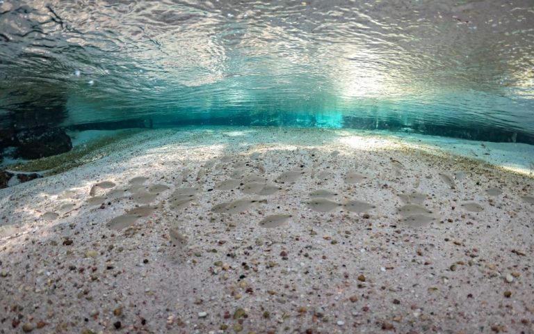 Shui Brasil - encante-se por este oásis no Rio Grande do Norte