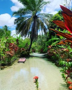 Shui Brasil - encante-se por este oásis no Rio Grande do Norte