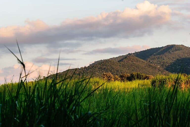 Serra do Japi: trilhas, cachoeiras e muita natureza pertinho de SP