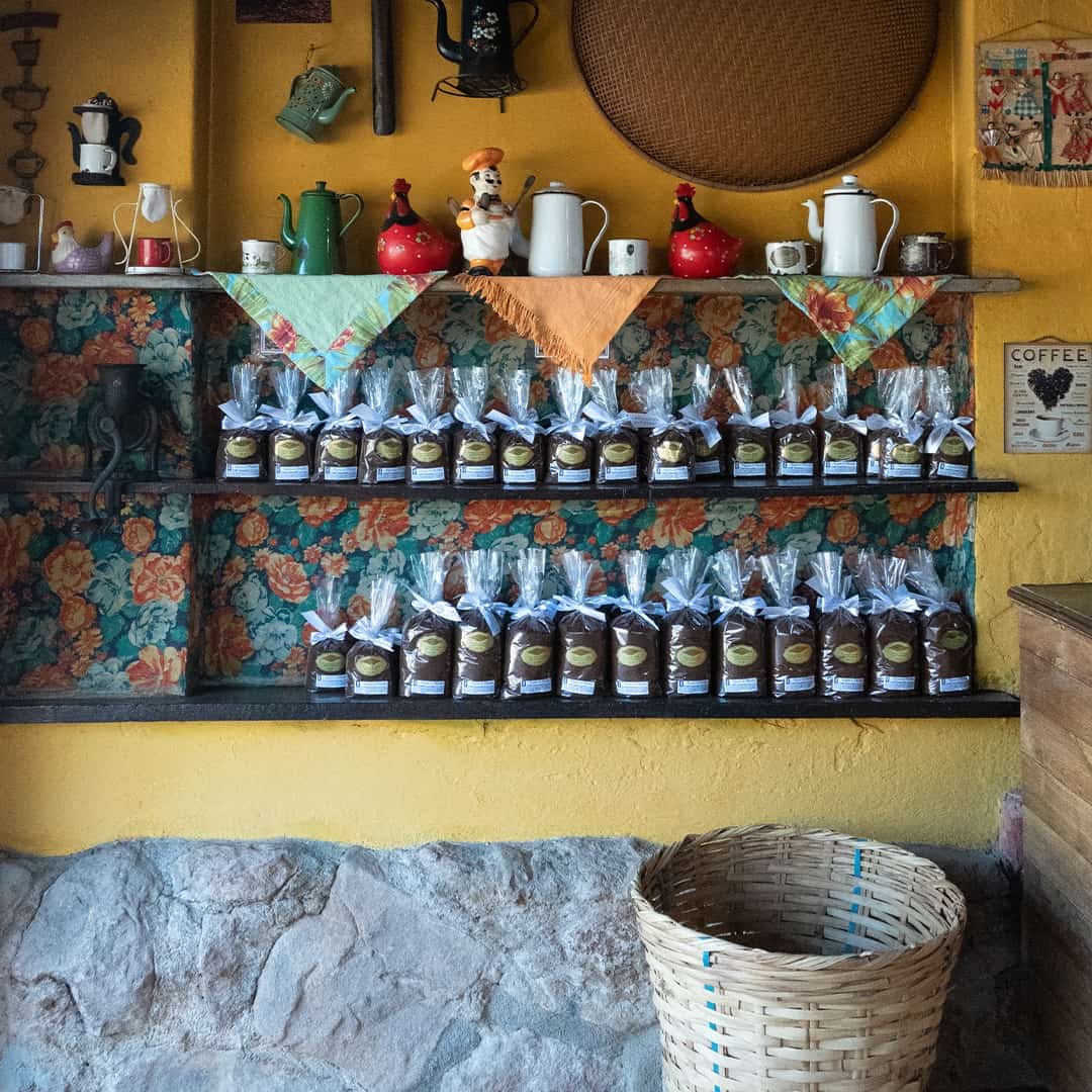 Parque Maeda tem lazer na natureza e o maior jardim japonês do país