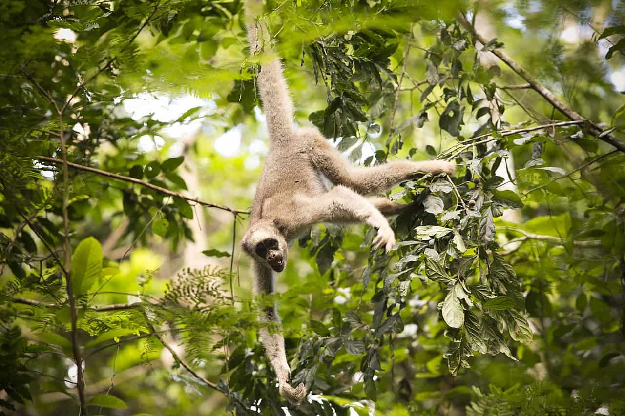 Parque Estadual Carlos Botelho: boia-cross, cachoeiras e mais!