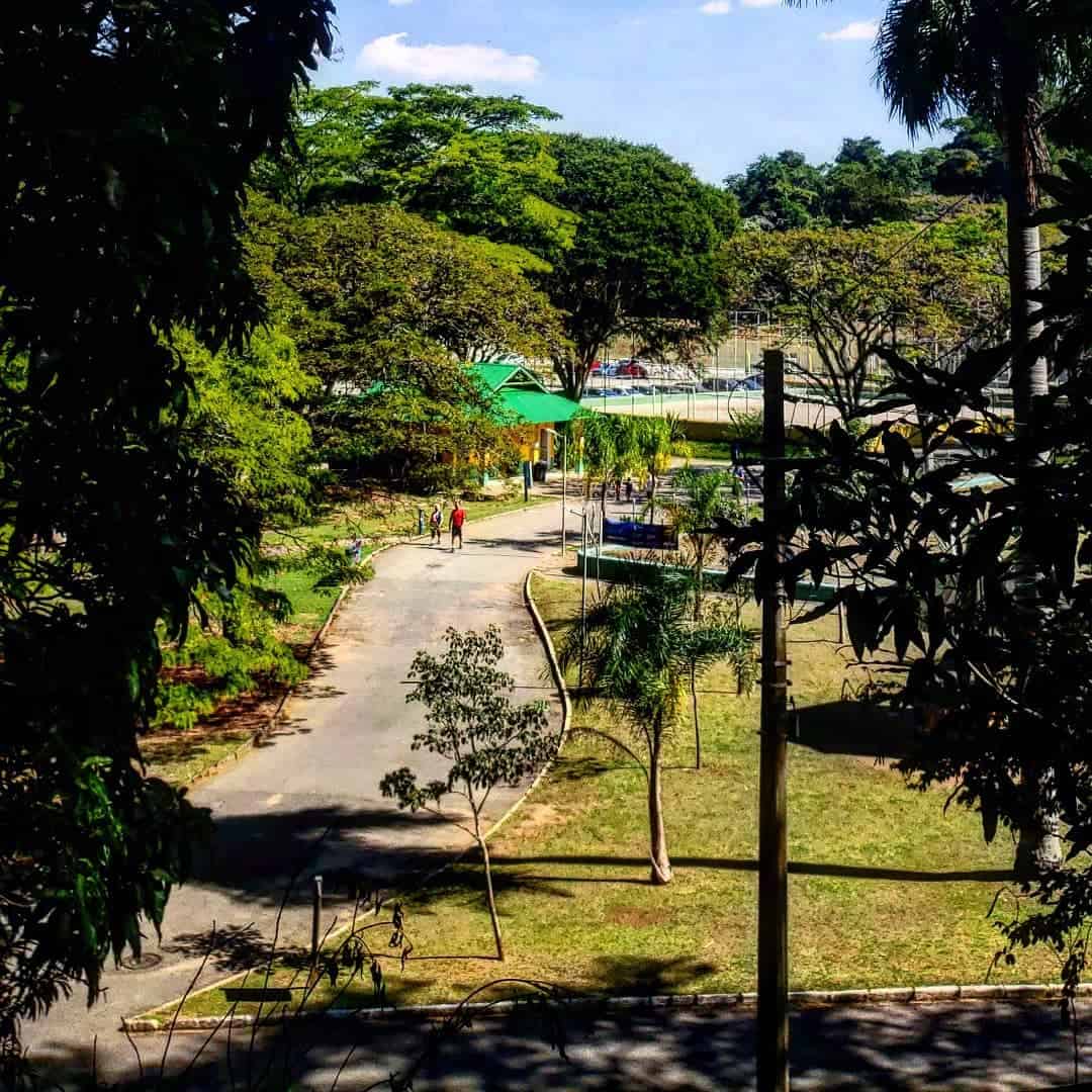 Guia completo para aproveitar o melhor do Horto Florestal, em SP