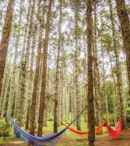 Parque Oschin em Monte Verde: uma atração para toda a família