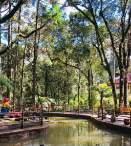 Parque Oschin em Monte Verde: uma atração para toda a família